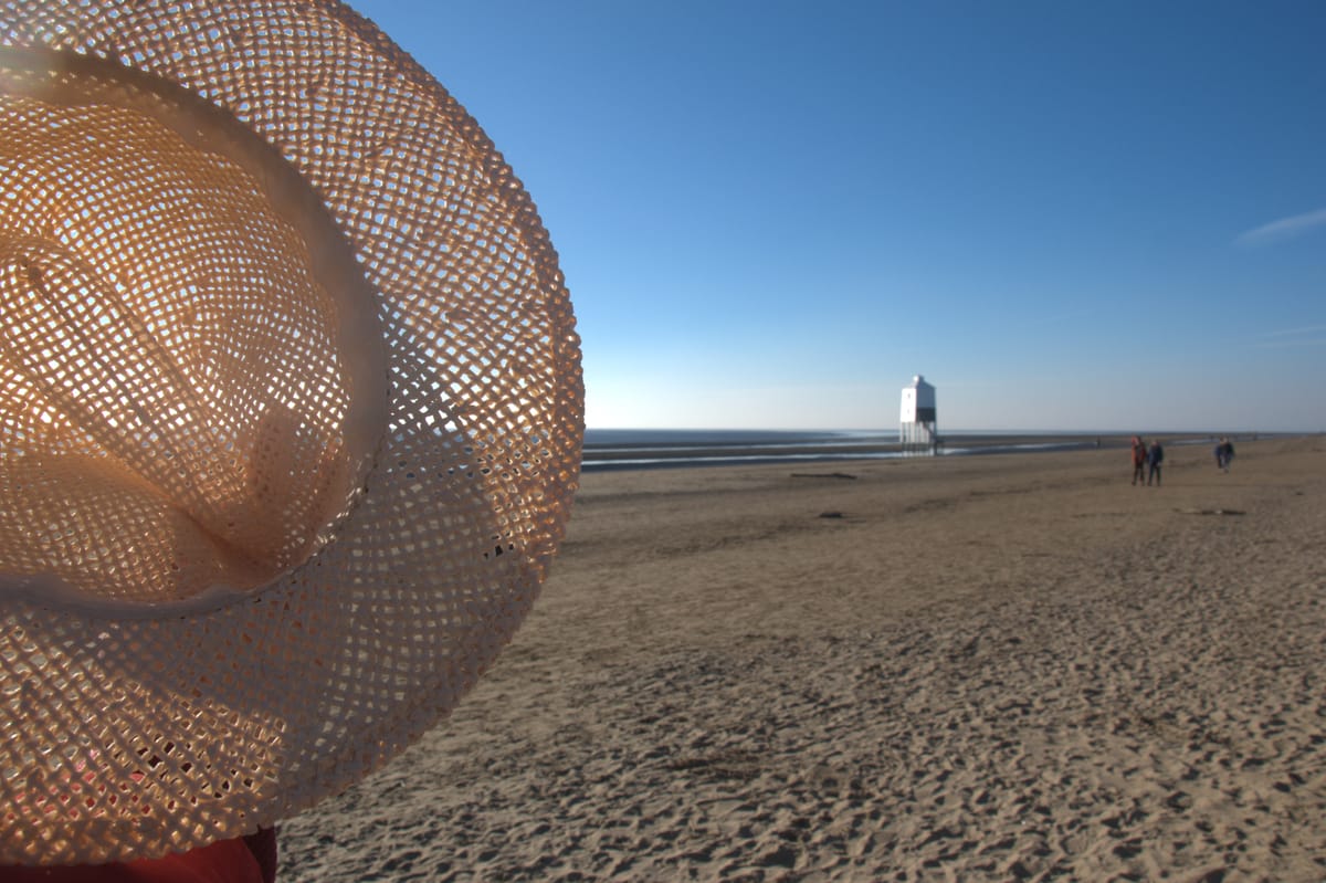 Budding Indigo - Counselling & Psychotherapy